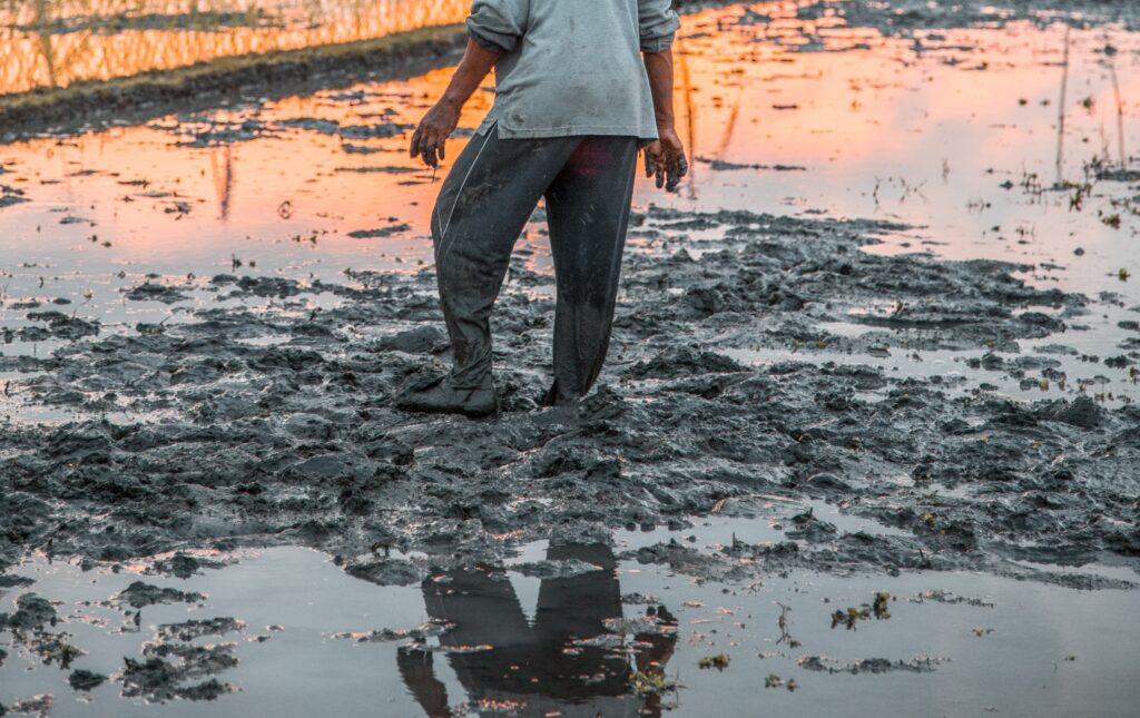 Bienvenidos al barro | TelcosMedia